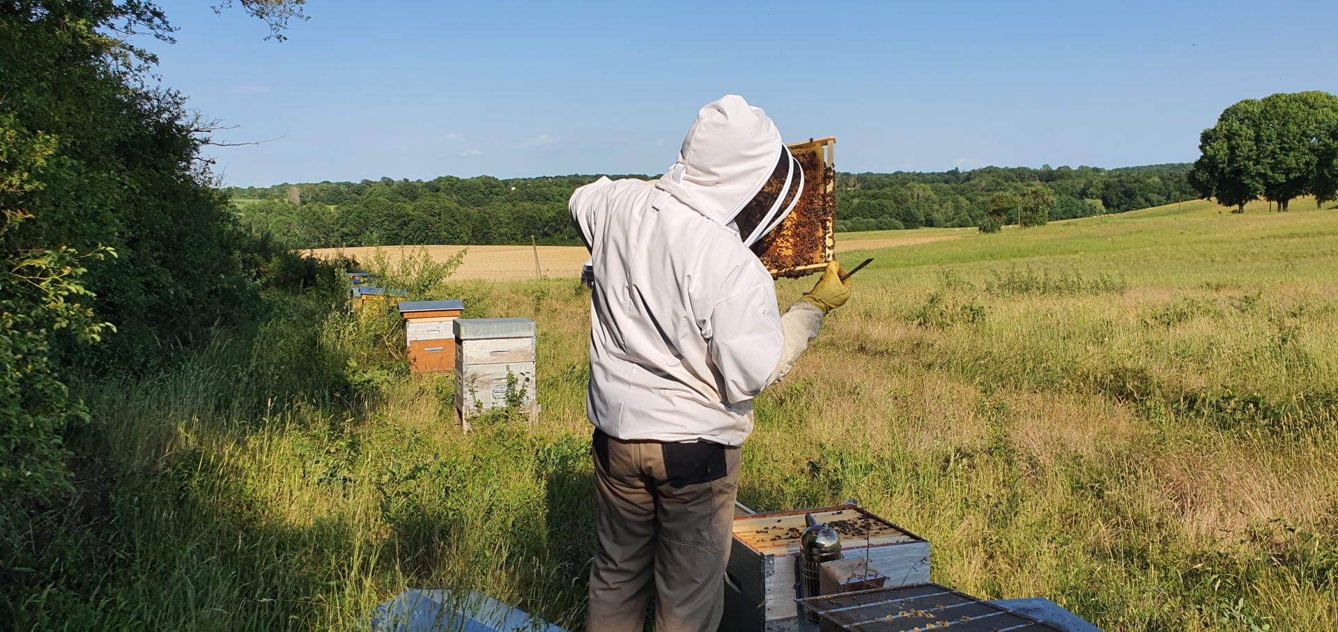 Obligations réglementaires de l'apiculteur - L'Abeille de Compagnie